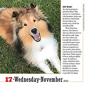 365 Dogs Page-A-Day Calendar 2021
