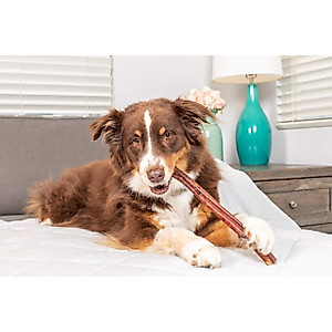 Natural Cravings USA Texas Sized Bully Sticks | All Natural | Odor Free | High Protein | Premium Quality Dog Chews | 12" - 3 Pack