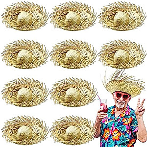 Hercicy 10 Pcs Beach Straw Hat Adult Party Hats Hawaiian Hat Beachcomber Farmers Hat Funny Luau Hat for Men Women Costume Summer Themed Decorations Accessories