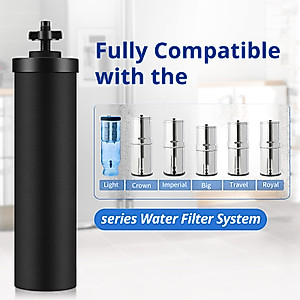 2 Pack Black Water Filter Replacement Parts Compatible with Big Berkey Gravity Filtration System, Compatible with BB9-2 Water Filter