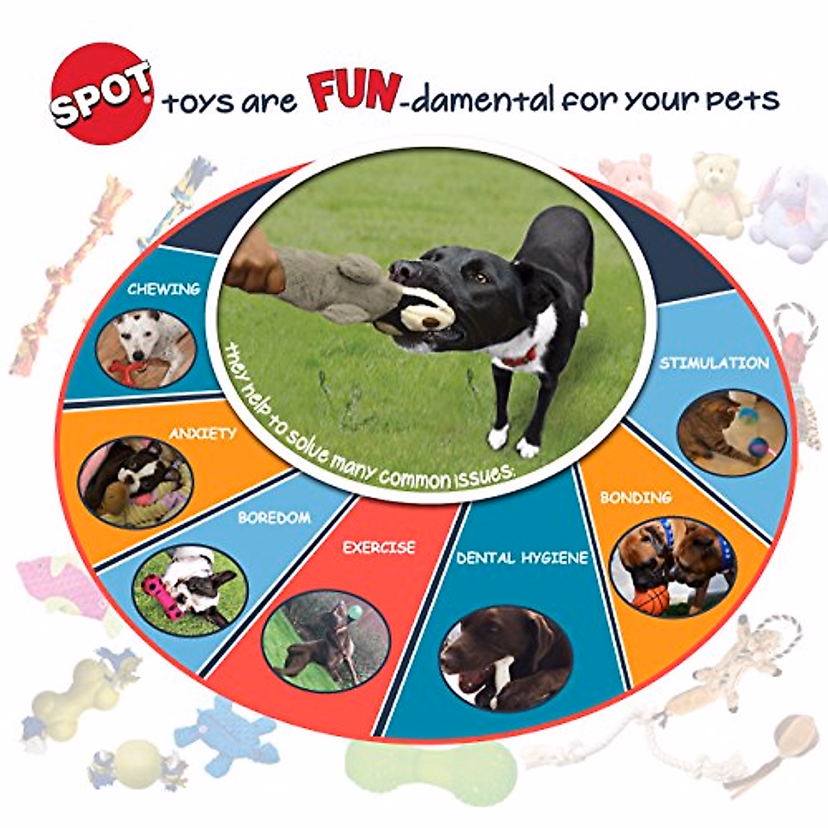 SPOT Ethical Pet Interactive Seek-A-Treat Shuffle Bone Toy Puzzle That Will Improve Your Dog's IQ, Specially Designed for Training Treats