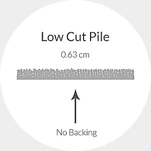 SAFAVIEH Bijar Collection 8' x 10' Brown / Rust BIJ648D Traditional Oriental Distressed Non-Shedding Living Room Bedroom Dining Home Office Area Rug