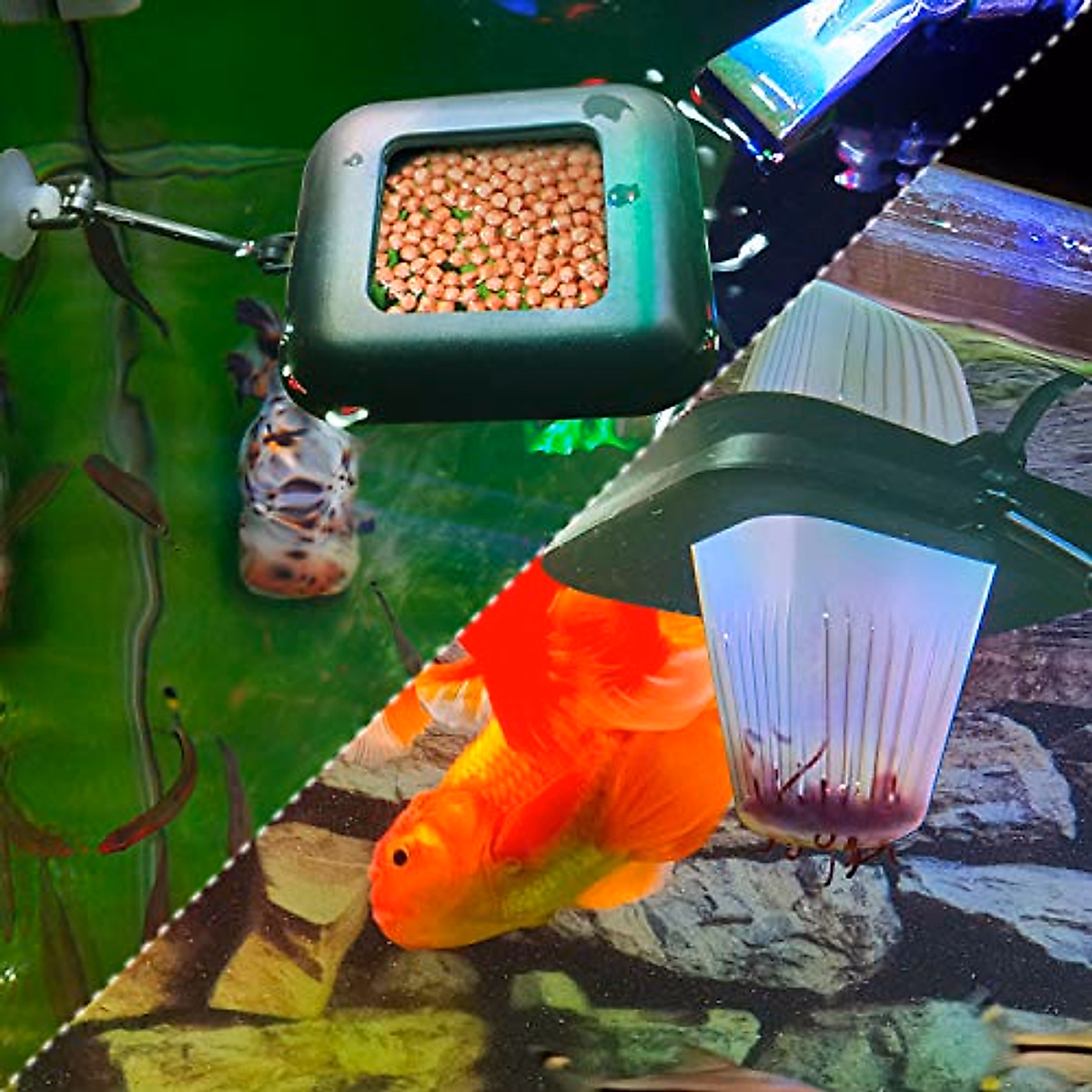 Fischuel Aquarium Feeding Ring Floating Rings Food Feeder Feeding Trough Square with Suction Cup for Fish Feeder with Blood Worms Meal Worms