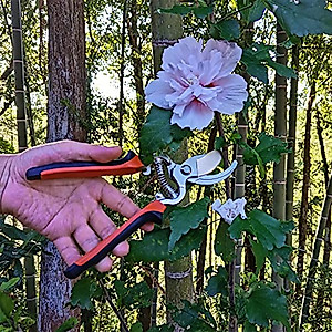 Gardening Shears Garden Clippers, Heavy Duty Tree Trimmers and Rose Pruning Shears, Professional Bypass Pruner Hand Shears, Hedge Clippers for Plants, Garden Tools Gardening Gift