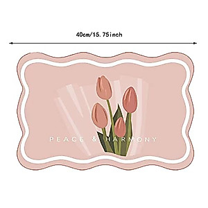 Scceatti Bath Mat Non Slip Shower Mat 16 x 12 Small Door Mat Outdoor Absorbent Mat Non Slip Mat for Doorway Living Room Bathroom for Bathroom Floor Bathroom Accessories Bath Mats