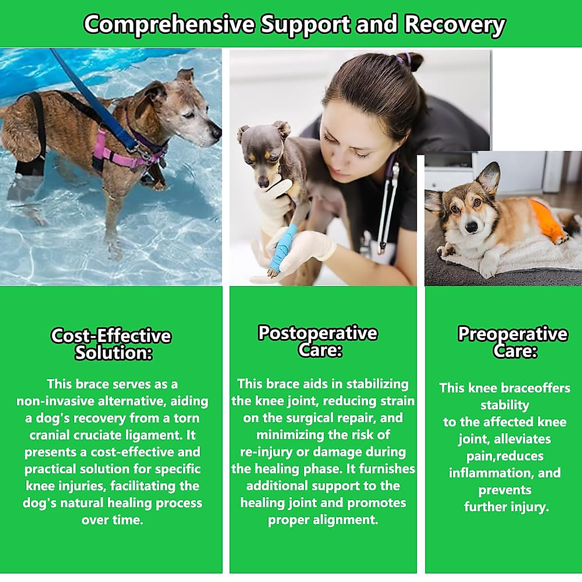 Premium Dog ACL Knee Brace for Torn ACL Hind Leg Support - Cruciate Care & Recovery, Adjustable Leg Braces for Back Leg, Hip Support - Small, Medium, Large Sizes with Extra Stabilizers (Black, L)