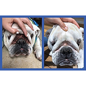 Squishface Wrinkle Paste (2oz) & 5x7 Wipes Bundle - Clean Wrinkles, Tear Stains, Tail Pockets, Paws – Anti-Itch, Deodorizing - Great for English Bulldogs, Pugs, Frenchies, French Bulldogs & Any Breed