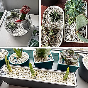 Anothera 18-lb Bulk Bag White Pebbles 1/2" Size Aquarium Gravel Outdoor Garden Paving Plant Decorative Stones