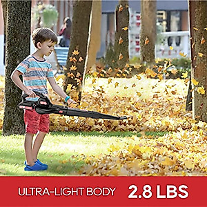 Ecomax 18V Electric Leaf Blower, Leaf Blower Cordless with 2Ah Battery and Charger, Lightweight Blower Battery Powered for Lawn Care & Snow Blowing & Yard Cleaning, ELG04, Black & Red