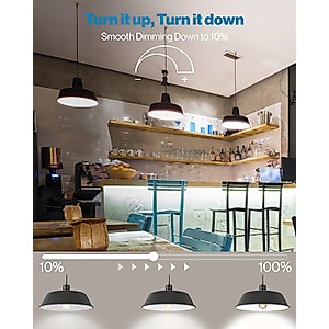 Sunco 4 Pack Vintage LED Edison Bulbs, 75W Equivalent 13W, 1600 LM Ultra Brightness Dimmable ST58 Filament, 4000K Cool White, E26 Medium Base, Clear Glass Light Bulbs