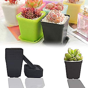 24 Pack 3 Inch Black Square Plastic Nursery Pots,Flowers Plant Pot Container with Saucers for Indoor Outdoor Plants,Herbs,Foliage Plant and Seeding Nursery