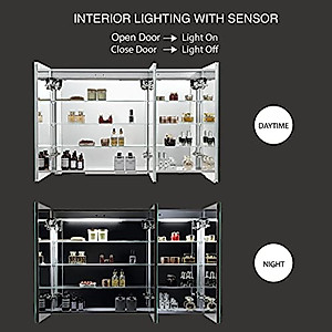 Blossom Recessed or Surface 48 Inch LED Mirror Medicine Cabinet with Lights, Defogger (Vega-48)