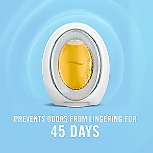 Febreze Small Spaces Air Freshener Gain Honey Berry Hula, 1 count (Pack of 3)