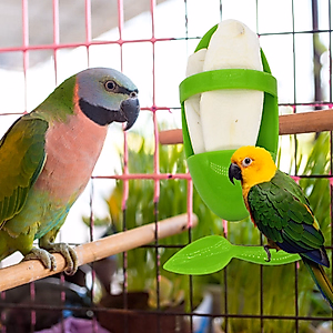 Cuttlebone Holder for Bird Cage | Cuttlebone Stand Cuddle Bone Feeding Cup Rack | Cuttlefish Bone Beaks, Natural Birds Calcium Parrots Cockatiels Budgie Lokoo