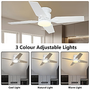 Ohniyou Ceiling Fan with Lights Flush Mount,40'' Small Ceiling Fans with Lights and Remote Control,Indoor Outdoor Quiet DC White Low Profile Ceiling Fan for Patio Kitchen Dining Room Bedroom