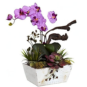 Nearly Natural 1458-OR Orchid & Succulent Garden with White Wash Planter