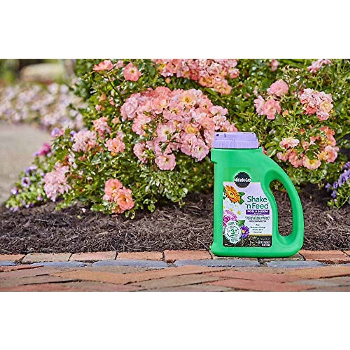 Miracle-Gro Plant Food 3002210 Shake 'N Feed Rose and Bloom Continuous Release Pl, 4.5 lb