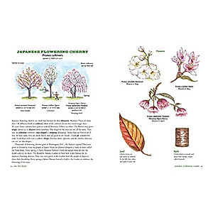 The Tree Book for Kids and Their Grown-Ups