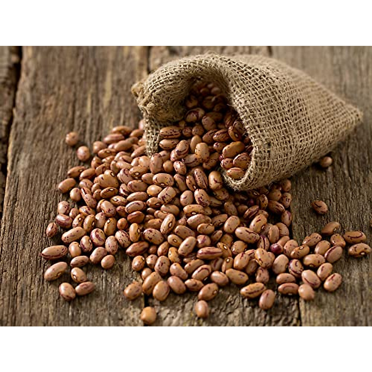 Pinto Bean Plant Seeds, 30+ Heirloom Seeds Per Packet, (Isla's Garden Seeds), Non GMO Seeds, 90% Germination Rate, Botanical Name: Phaseolus vulgaris