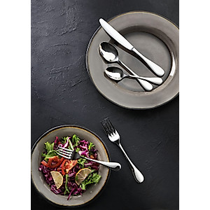 Artaste 59359 Rain 18/10 Stainless Steel Dinner Spoon (Rain Silver- Dinner Spoon)