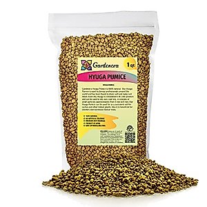 GARDENERA Japanese Hyuga Pumice - Premium Additive for Orchid & Bonsai Tree Soil |Professional Imported Sifted and Ready to Use (1 Quart Bag)