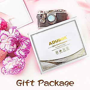 Adubor Mulberry Silk Pillowcase for Hair and Skin with Hidden Zipper, Both Side 23 Momme Silk,900 Thread Count (20x26inch, Standard Size, Ivory White, 1pc)