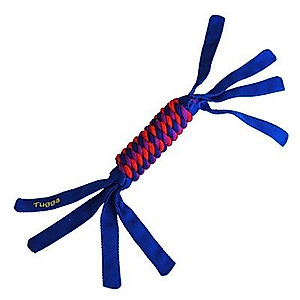 KONG Tugga Wubba Dog Toy [Set of 2] Size: Large