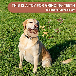 HOWWFALY Donut Dog Toy, TPR Durable Chewy and Fun Soundmaking Dog Toy,Dog Chew Toys for Aggressive Chewers Teeth Grinding Dog Birthday Gifts Interactive Toys for Small/Medium/Large Dog Breeds(Black)