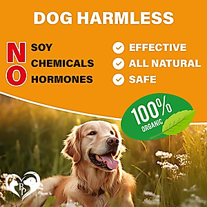 Flea and Tick Prevention Chewable Pills for Dogs - Revolution Oral Flea Treatment for Pets & Complex Multivitamin -Natural Pest Control & Defense Chews - Small Tablets Made in USA (10 Oz)