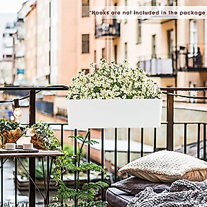 GardenBasix Elongated Self Watering Planter Pots Window Box 5.5 x 16 inch with Coconut Coir Soil Indoor Home Garden Modern Decorative Planter Pot for All House Plants Flowers Herbs 1, White 5.5" x16”