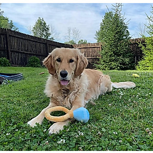 Fuzzyard Valentine's Day Dog Toy, Squeaky and Crinkle for Small, Medium and Large Breed Dogs (Diamond Ring)