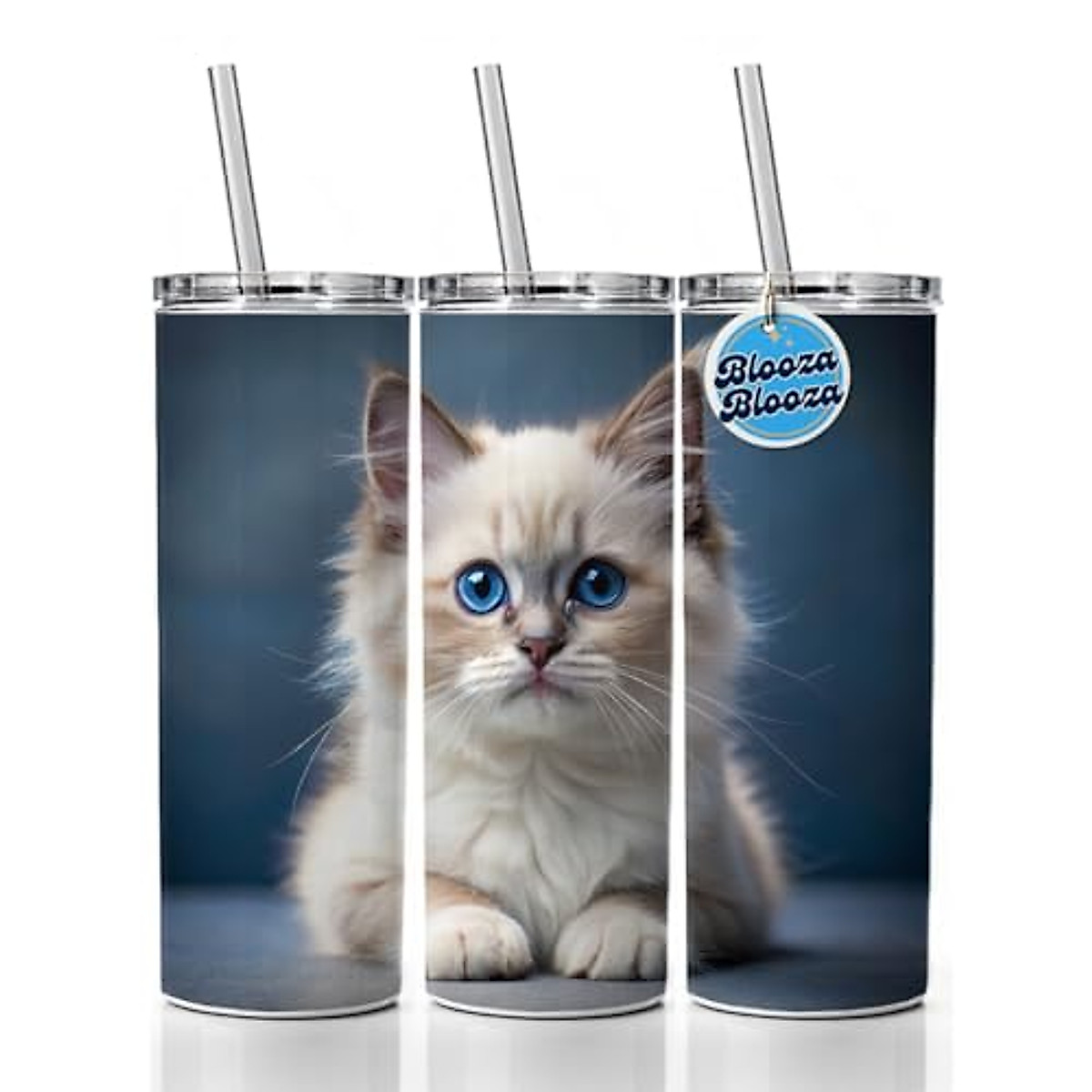 Ragdoll Cat Kitten Photo Skinny Tumbler 20oz with Straw Insulated Water Bottle Gift