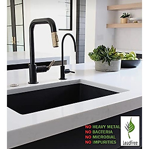 BlueBay Kitchen Drinking Water Faucet,100% Lead-Free for Non-air Gap Water Filtration System. High Grade Stainless Steel 304,Fits Most Reverse Osmosis Faucet (RO) (Matt Black)