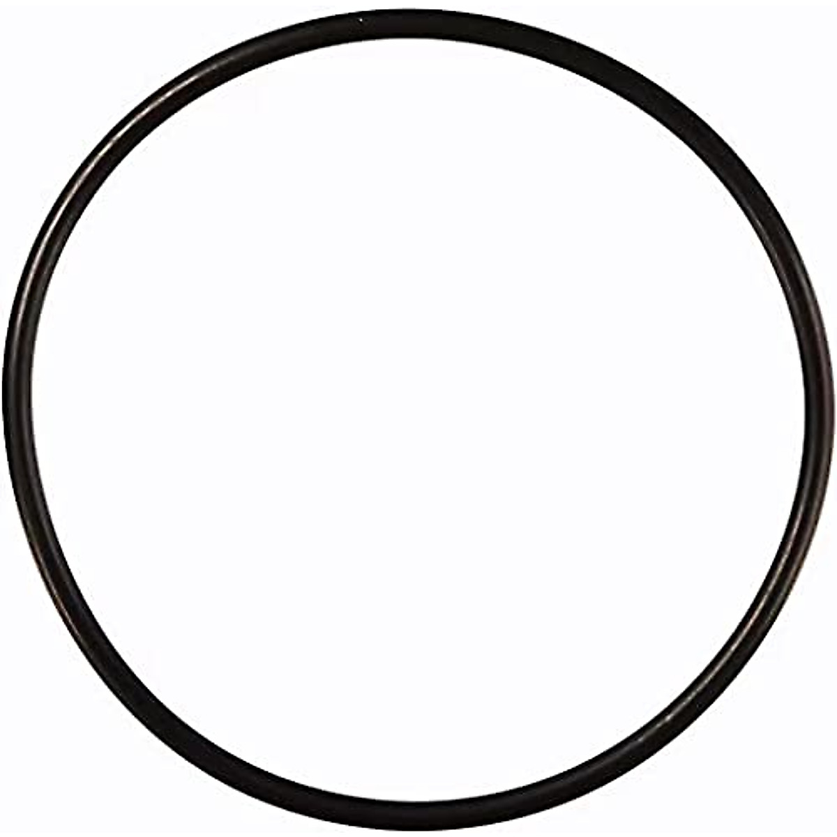 Replacement SPX1500P Pool Pump Lid Strainer O-Ring for Hayward fits Garden, Lawn, Supply, Maintenance