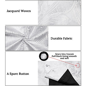 DiBanGu Mens Vest Tie Set 7PCS Silk Paisley Suit Waistcoat and Necktie Hankerchief Cufflinks Lapel Pin Set for Wedding Party, White, XX-Large