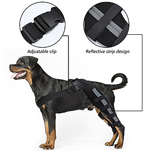 LKJYBG Pet Dog Knee Brace Adjustable Size Reflective Design Elastic Shoulder Strap Hind Legs Protective Cover HJ40 Hind Legs Black S