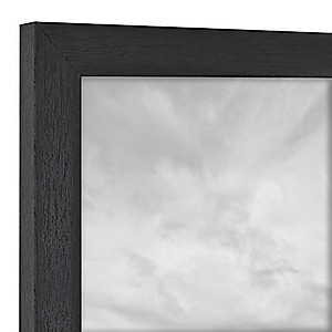 MCS Studio Document Frame, Gallery Wall Frame Fits 8.5 x 11 Diplomas, Documents & Certificates, Black Woodgrain, Single