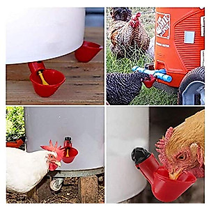 LIUSM 15 Pcs Chicken Water Bowls with Nuts, Plastic Poultry Waterer Feeder Breeding Equipment for Chicken Bird Quail Drinker