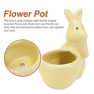 PRETYZOOM 2PCS Flowerpot Easter Planter pots Decorative Pot Ceramic Pot Ceramic Succulent Pot Easter Plant Pot Mini Planter Easter Bunny Figure Succulent Flower Pot Animal Ceramics Bracket
