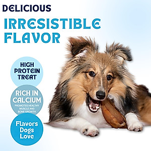 FETCHERONI Dog Treat Variety Box - Variety Box Consists of 5 Pig Ears, 3 Yak Cheese Chews, 3 Bully Sticks, 2 Cow Ears, and 1 Dog Bone - Long Last Dog Chew Treats - All Treats are 100% Natural