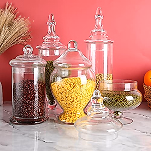 5 Pieces Glass Apothecary Jars with Lids Large Candy Buffet Display Decorative Jars Clear Storage Jars Candy Bar Organizer Canisters for Kitchen Bathroom Wedding Party, 5 Shapes