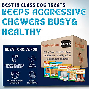 FETCHERONI Dog Treat Variety Box - Variety Box Consists of 5 Pig Ears, 3 Yak Cheese Chews, 3 Bully Sticks, 2 Cow Ears, and 1 Dog Bone - Long Last Dog Chew Treats - All Treats are 100% Natural