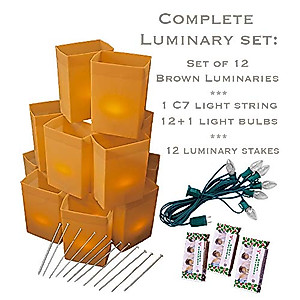 Set of 12 Brown Luminaries, Light String, Bulbs & Stakes