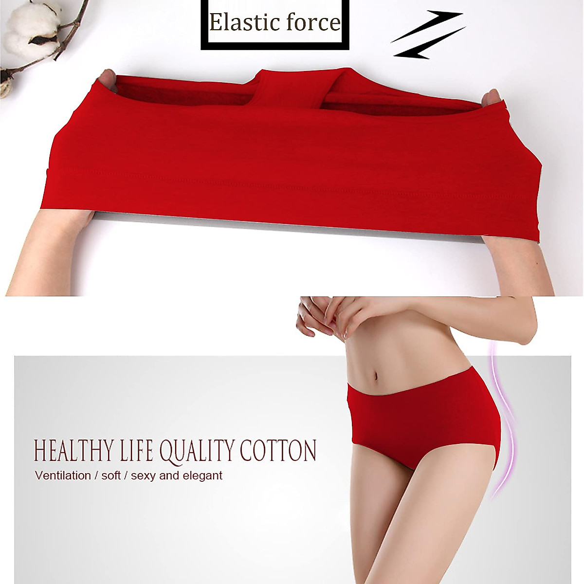 AMZCHPC Women's Briefs Cotton Underwear Mid Waisted Panties Soft Underpants 5Pack (multicolor, M)