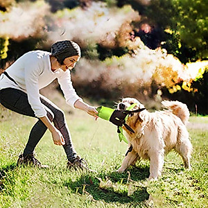 Auland Puppy Puzzle Toys, Puppy Toys for Improving Dog' s IQ, Squeaky Puppy Puzzle for Dogs,Interactive Dog Toys for Boredom and Snuffling (Octopus)