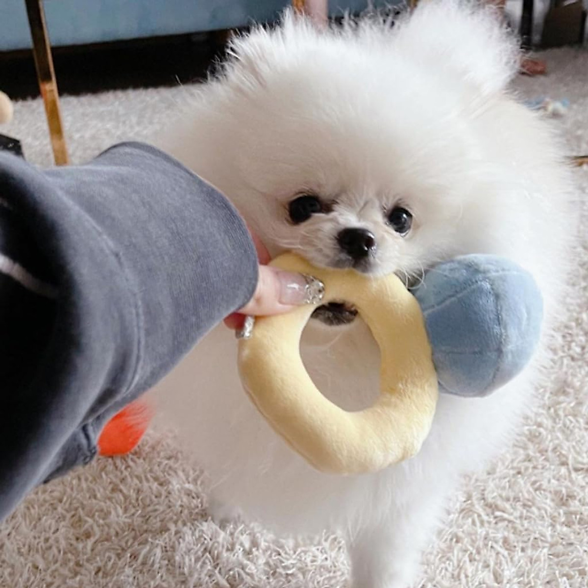 Ozeau Dog Toy for Aggressive Chewers Dog Chew Oral Toy for Large Medium Dog Breed, Style B