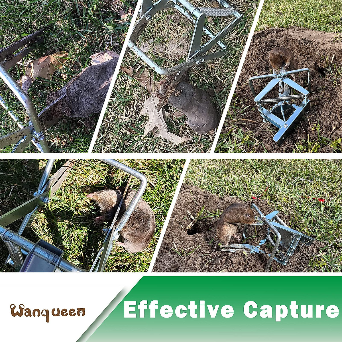 2 Pack Mole Traps That Kill Best, Vole Traps Outdoor Use Scissor Mole Traps for Lawns, Mole Trap Easy to Set Galvanized Steel Reusable Quick Capture Gopher