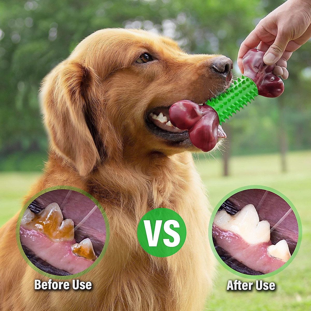 Apasiri Aggressive Chewers Dog Toys Tough Dog Toys for Extreme Chewers Dog Indestructable Toy Chew Toys for Large Dogs Toys for Dogs Interactive Dog Toys Dog Teething Toys Large Toy Dogs (Green)