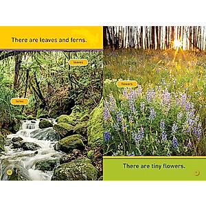 Hop, Bunny! (National Geographic Kids Readers, Pre-Reader): Explore the Forest