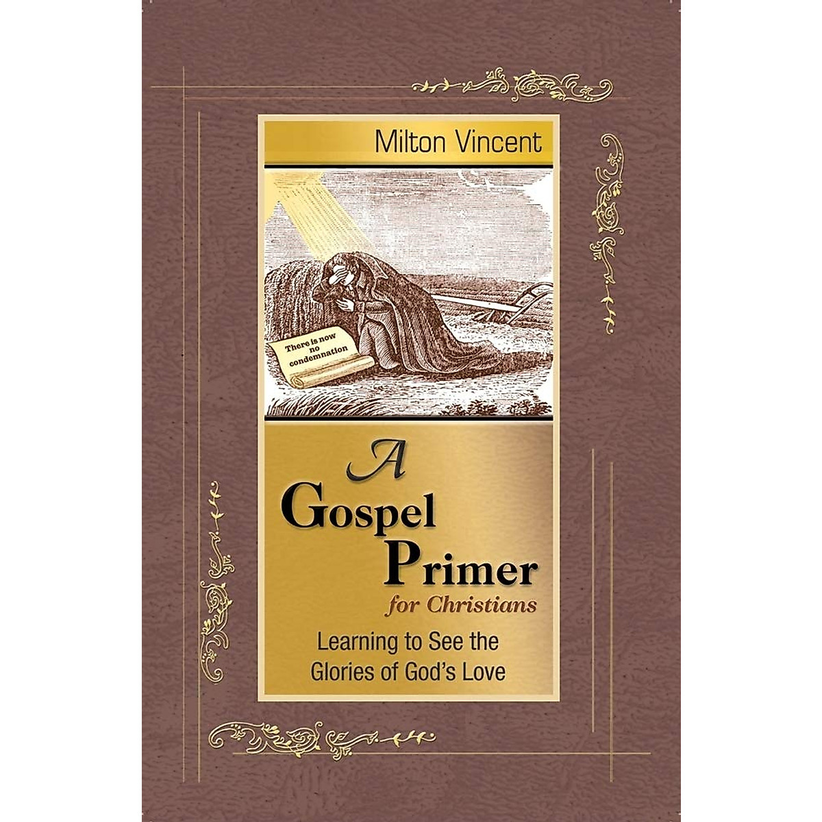 A Gospel Primer for Christians: Learning to See the Glories of God's Love